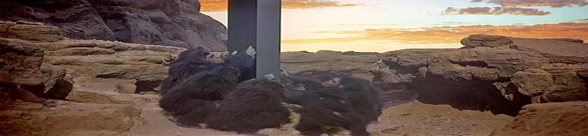 Towards an Objective Reality - Michael Zemel